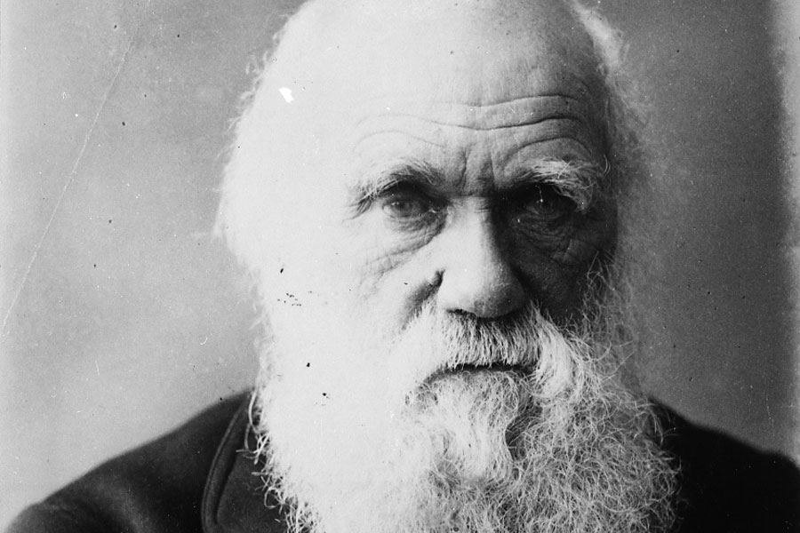 Tracing your ancestors: a case study featuring the Darwin family | The ...