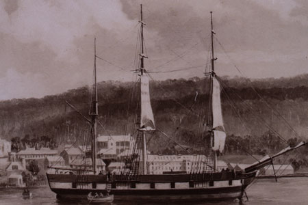 Morbidity and mortality on convict voyages to 19th century Australia ...