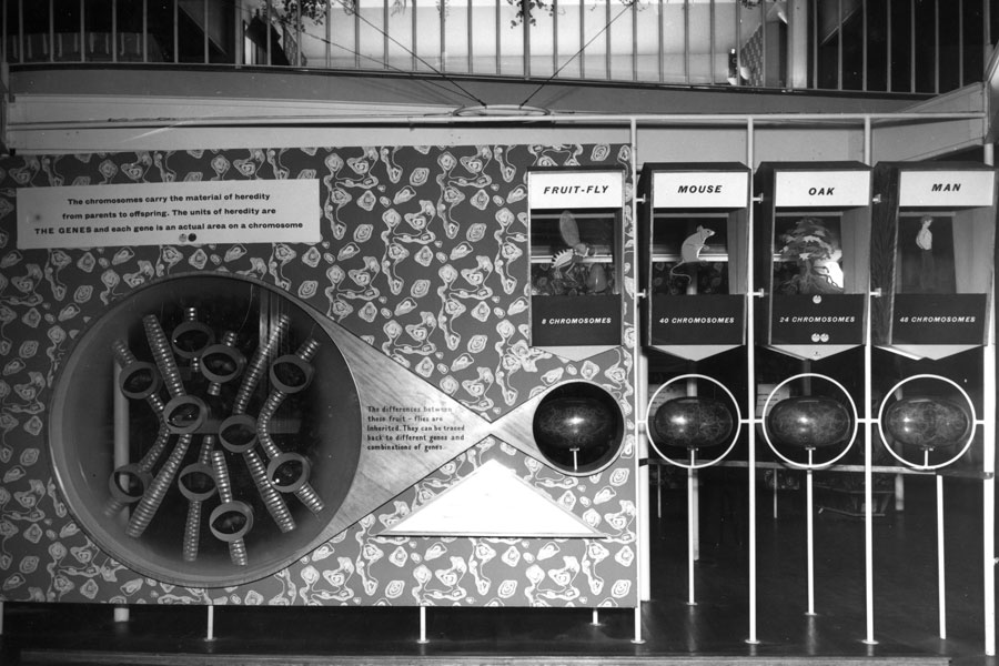 DNA, family history and the population of the British Isles | The ...