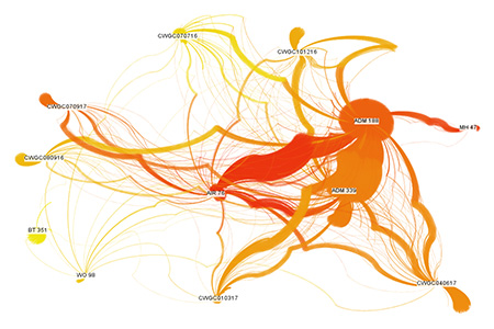 Traces through Time: a new tool for finding linked records across our ...
